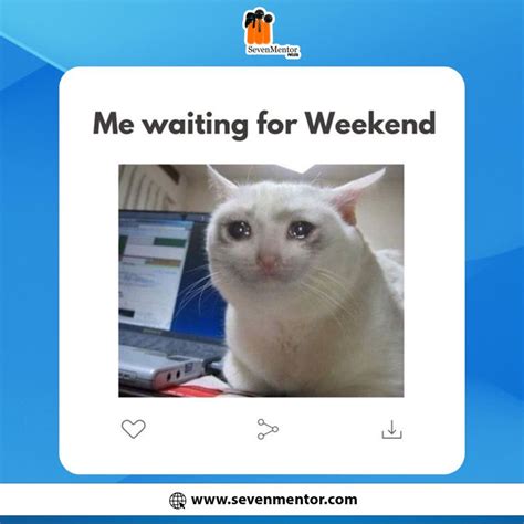 Sevenmentor Corporate Solution On Linkedin Meme Memer Memes