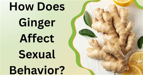 How Does Ginger Affect Sexual Behavior