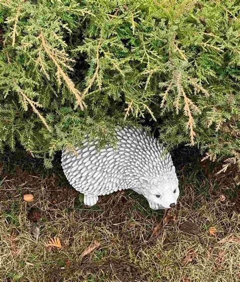 ᐉ Садова фігура статуетка Їжак із цементу ручна робота 24 см 702104 • Краща ціна в Києві