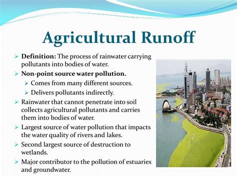 PPT Agricultural Runoff PowerPoint Presentation ID 5998042