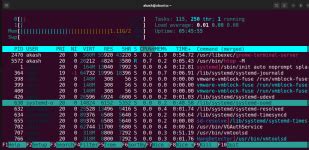 The Htop Command In Linux Practical Examples LinuxSimply