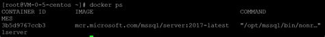 Docker安装sqlserver，并破解内存2g限制，与内部使用bak还原数据 剑轩的专栏 Tnblog