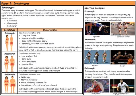 Gcse Pe Aqa 9 1 Somatotypes Paper 2 Knowledge Organiser Revision Mat Teaching Resources