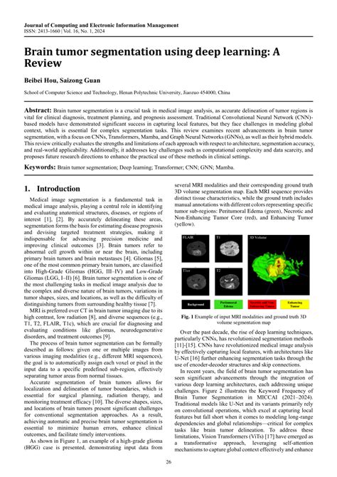 pdf brain tumor segmentation using deep learning a review