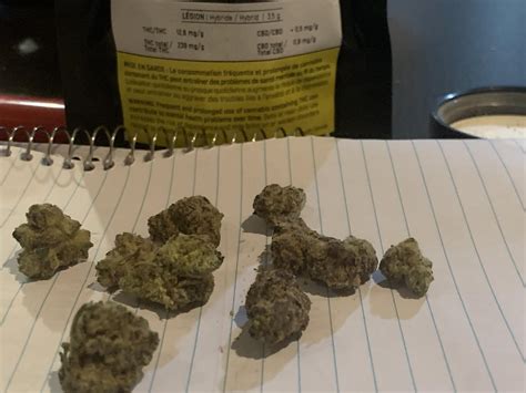 🍌 Platinum Runtz 23 9 R Sqdc