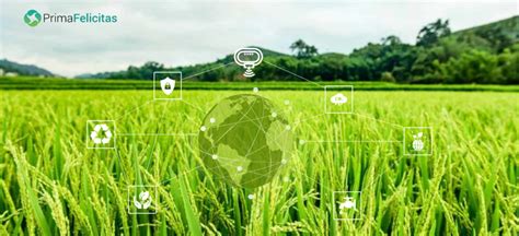 Exploring Iot Role In Environmental Sustainability