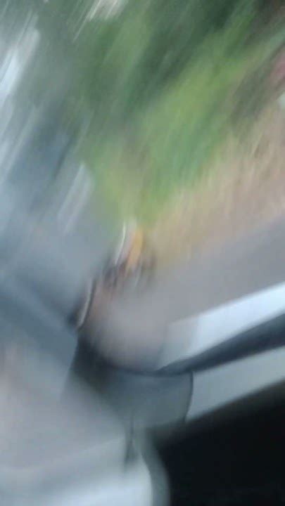 මිහින්තලේ ත්‍රිකුණාමලය පාරෙන් ඉවතට Youtube