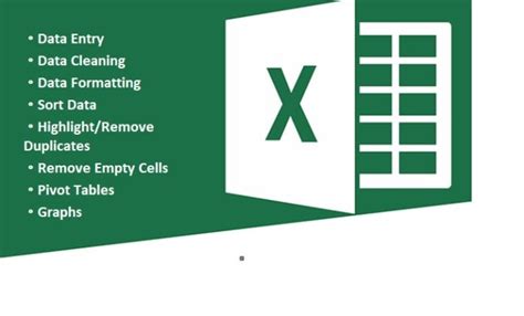 clean format and visualize your data by black swan fiverr
