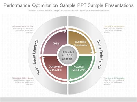 Ppt Performance Optimization Sample Ppt Sample Presentations Templates PowerPoint Presentation