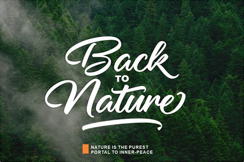 Bracket Script Font Fonts Hut
