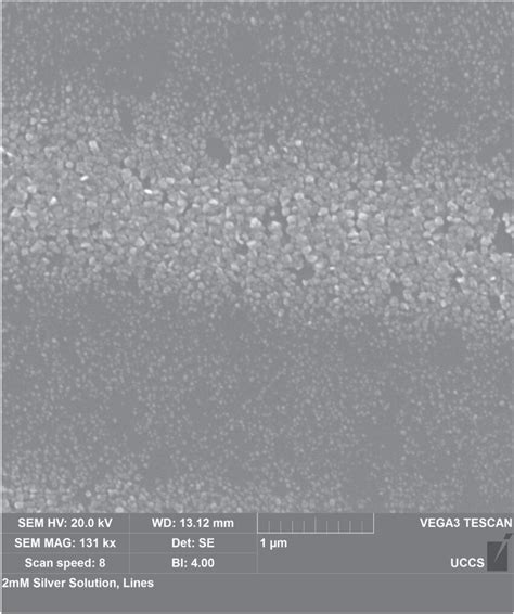 An Sem Image Of A Line Structure Generated Using Our Substrate
