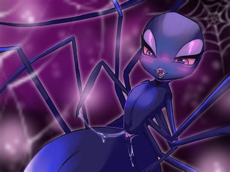 Rule 34 Arachnid Araneomorph Arthropod Back To The Outback Black