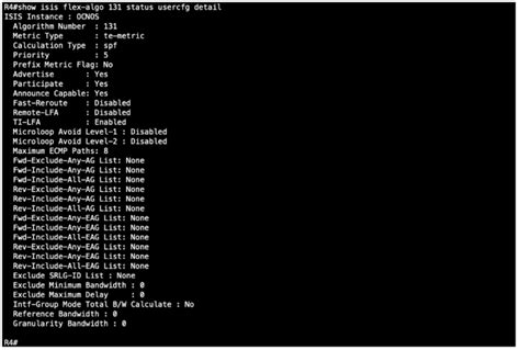 flex algo in ocnos optimizing network paths using te metric ip infusion