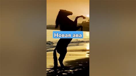 новая ава - YouTube