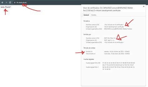 Nginx En Docker Compose Error Al Agregar Certificado Ssl A Proxy