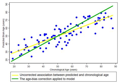 The Illustration Of MRIinformed Predicted Brain Age With Or Without Download Scientific