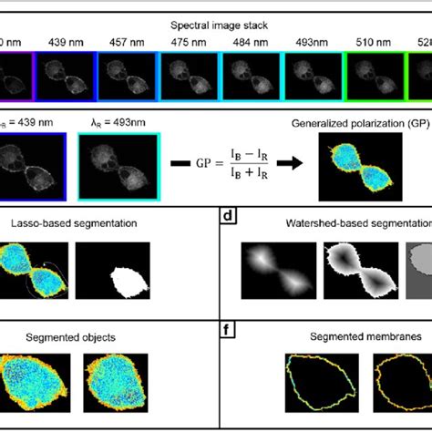 The Spectral Imaging Toolbox A An Auto Thresholded Spectral Image Download Scientific Diagram