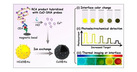 Biometric PhotoelectrochemicalVisual Multimodal Biosensor Based On D Hollow HCdS Au