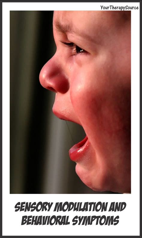 Sensory Modulation Disorder And Behavior Symptoms Your Therapy Source