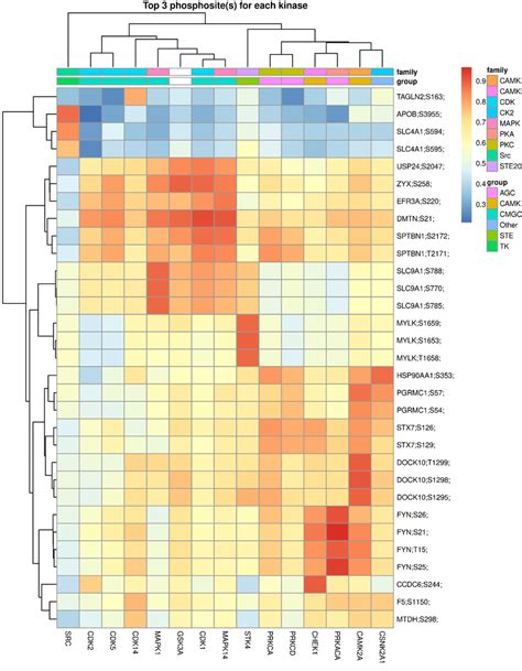 Global Kinase Substrate Relationships In The Prediabetes And Diabetes Download Scientific
