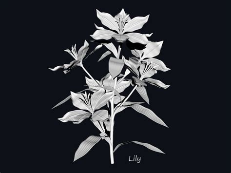 Github Syanenkopov Plants Plants Collection For Pov Ray Raytracer