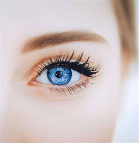 Multiclass Classification With Keras Hackernoon