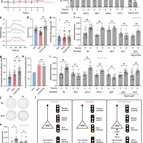 Food And Temperature Dependent Behavioral States Underly Different Download Scientific Diagram