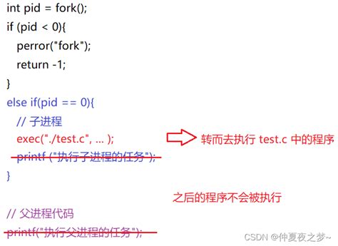 进程（六）—— 进程程序替换（exec函数族） execvp csdn博客