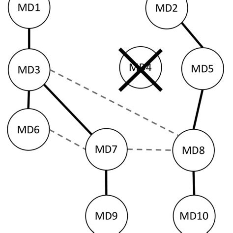 Examples Of Tree Reconstruction Process Download Scientific Diagram