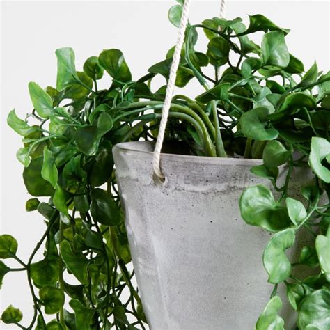 Artificial Faux Trailing Ficus Hanging Plant In Pot Reviews Crate Artificial Faux Trailing Ficus Hanging Plant In Pot Reviews Crate