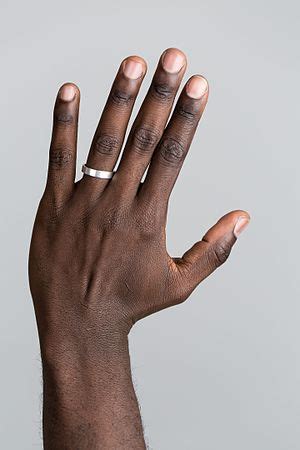Hand Wikipedia
