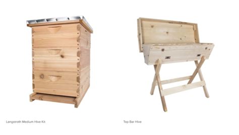 This Or That Choosing Your Hive Type Two Hives Honey Honey And Hive Tours In Austin TX