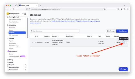 Ngrok Foundry VTT Community Wiki