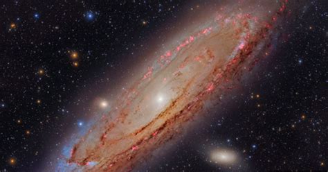 Anomalous Chemical Enrichment Of Heavy Elements In Young Galaxy Telescope Live