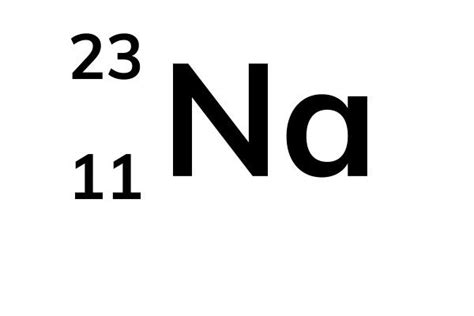 What Is Atom Size Number Definition From Seneca Learning