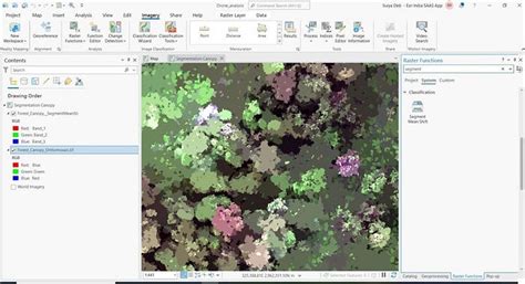 Tree Canopy Extraction Using Segmentation Process In Arcgis Pro Space