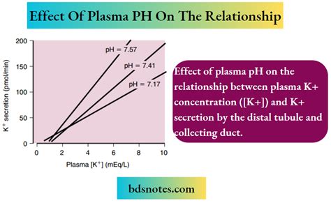 Regulation Of Potassium Balance Bds Notes