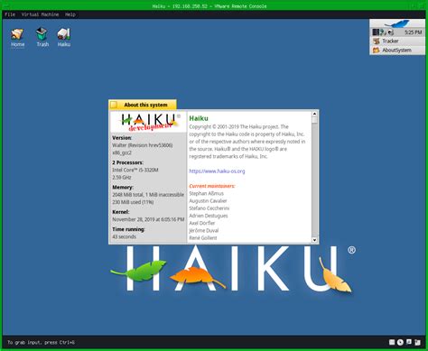 Emulating Haiku In Esxi Haiku Project