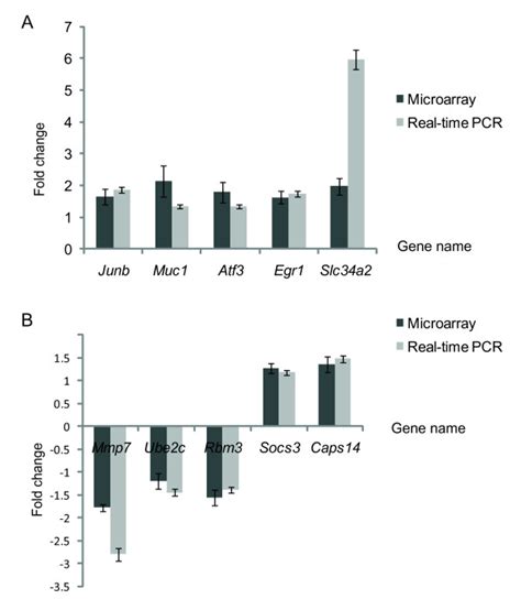 Real Time Pcr Analysis And Microarray Comparison A Real Time Pcr