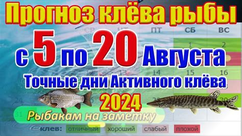 Прогноз клева рыбы на эту неделю с 5 по 20 Августа Календарь рыбака на Август Календарь клева