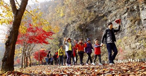 영양 외씨버선길·봉화 낙동강 세평하늘길 걷기여행축제 선정