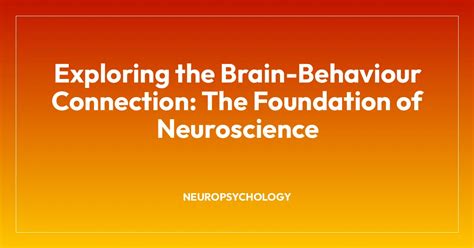 Exploring The Brain Behaviour Connection The Foundation Of Neuroscience • Psychology Town