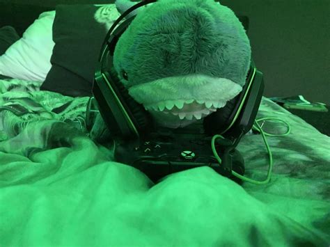 The Cute Gamer R Blahaj