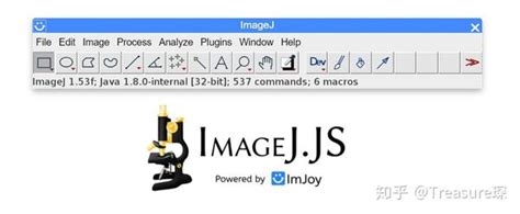 imagej实用教程——网页版imagej 知乎