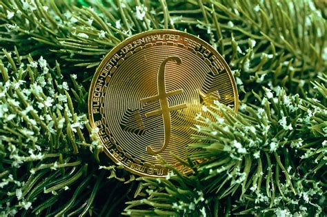 stock price prediction with conditional lstm a guide to conditioning in time series models by