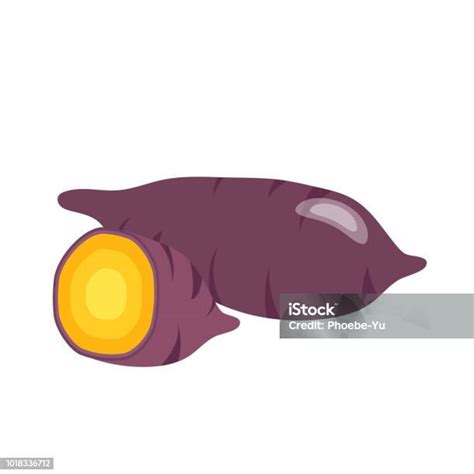 자연 유기농 야채 보라색 고구마 건강 한 벡터 화려한 음식 야채 양념 재료 감자 요리에 대한 스톡 벡터 아트 및 기타 이미지 감자 요리 보라색 0명 Istock