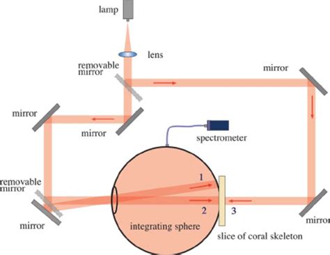 Color Online Schematic Diagram Of The Setup For The Measurement Of Download Scientific