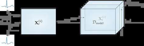 Tensor Based Ecg Signal Processing Applied To Atrial Fibrillation Detection Simon Geirnaert