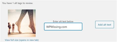 List All Images That Have No Alt Attribute In Wordpress Alt Attribute