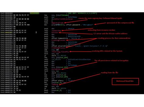 a detailed windows malware analysis report exe dll upwork